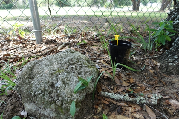 Home [www.beaufortcountysc.gov]